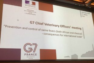 Chief Veterinary Officer, Christine Middlemiss – ‘Out of Office ...