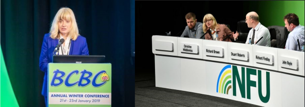 Chief Veterinary Officer, Christine Middlemiss – ‘Out of Office ...