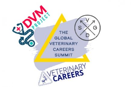 MOD – Government Vets